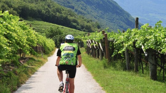 Taste of Dolomites Hike and Bike Tour | Ciclismo Classico